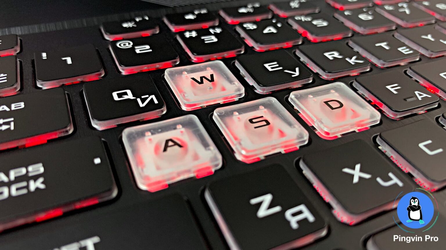 Pingvin.Pro - твій ҐІК-полюс