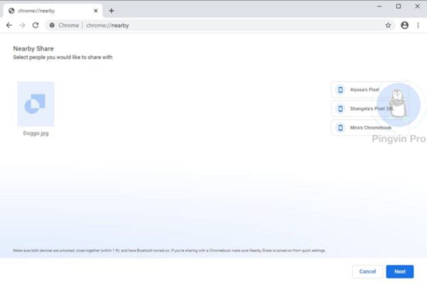 Функція передачі файлів Google Nearby Sharing з'явилася у Chrome - Pingvin.Pro