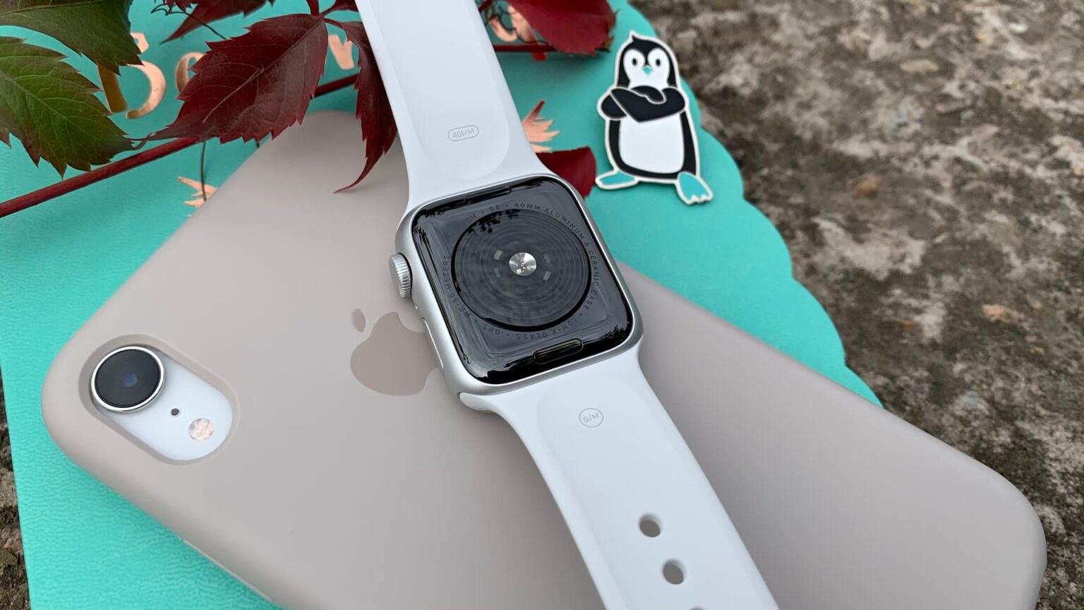 Apple Watch SE: детальний огляд розумного годинника - Pingvin.Pro